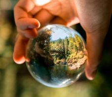 Maszol - Új Magyar Szó online